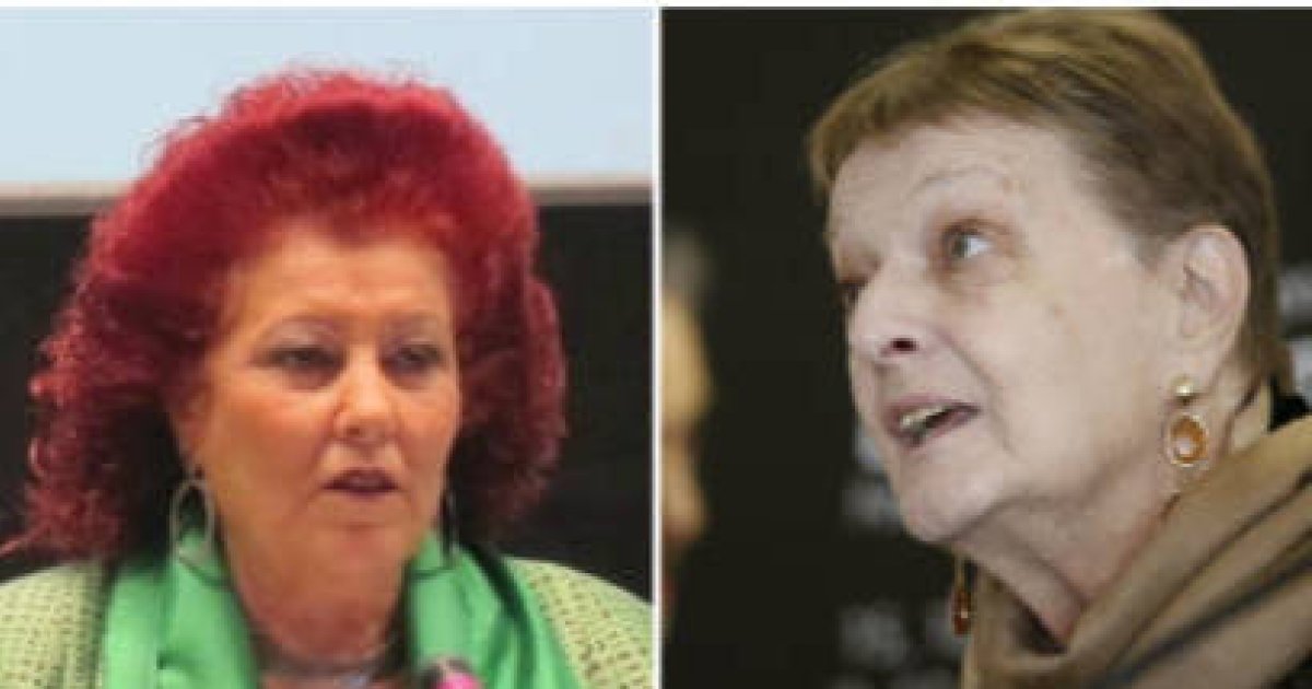 "Caso Helga Schmidt" y "Caso Consuelo Císcar": Diferencias y similitudes