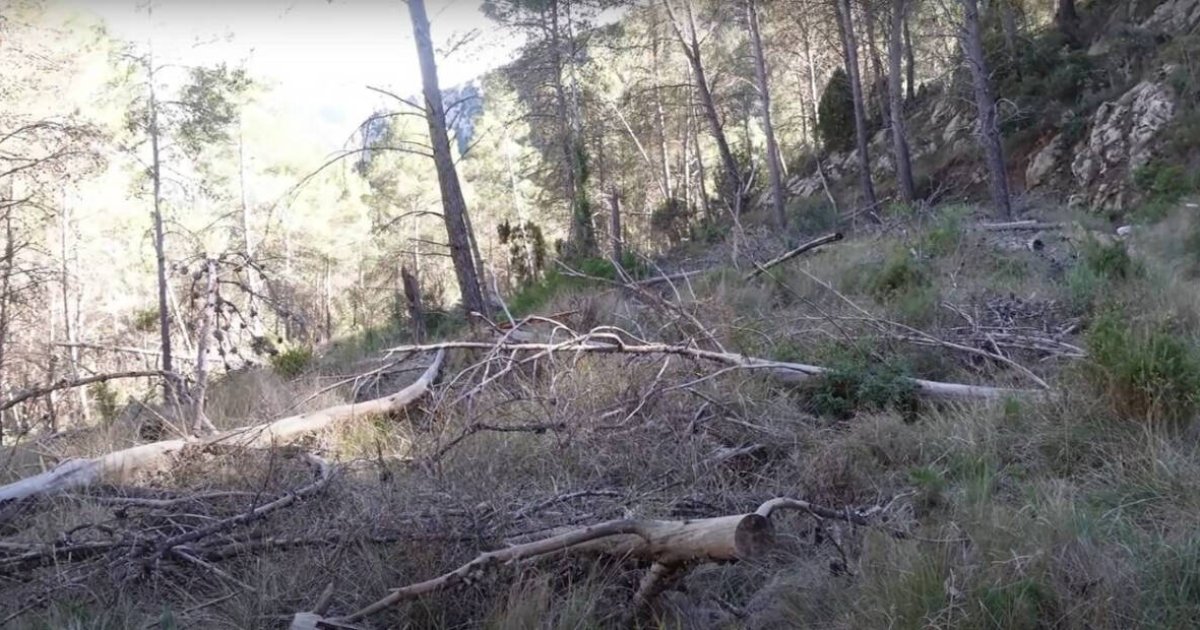 El mal estado de Villanueva antes del incendio: "Un polvorín, hay que ...