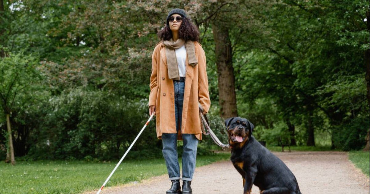 ¿Conoces la historia de los perros guía? Nosotros te la contamos