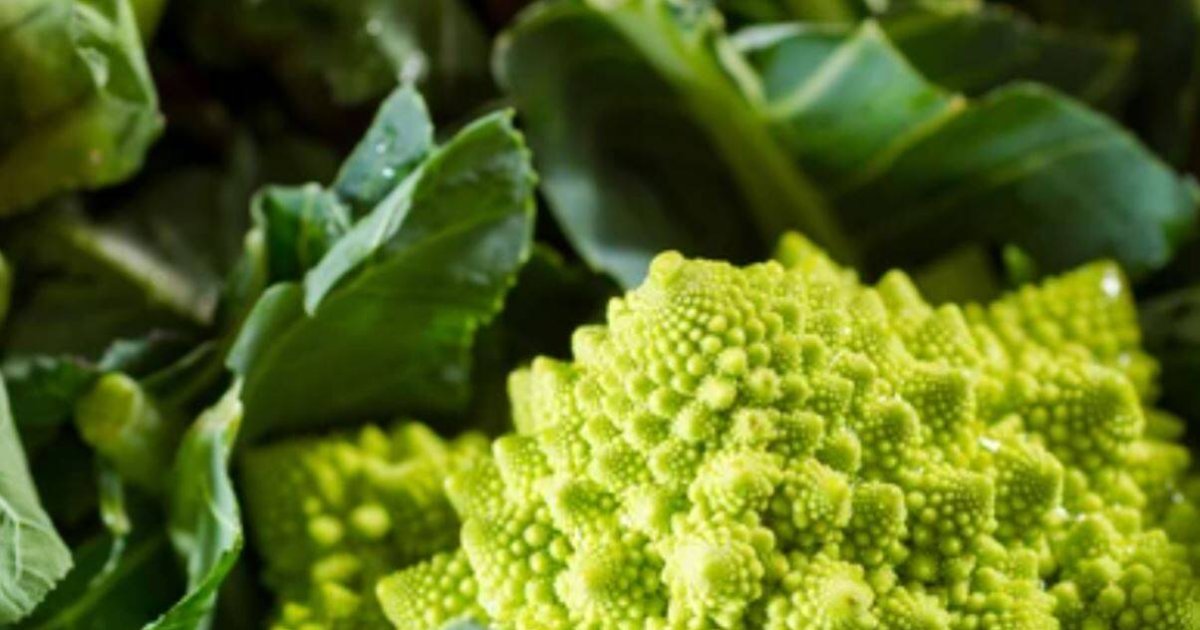 ¿Qué propiedades tiene el romanesco? La verdura con forma de fractal