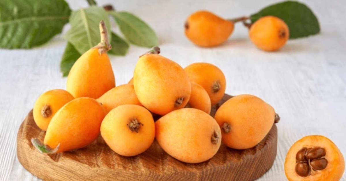 El poder de la naturaleza: descubre las propiedades saludables de los ...