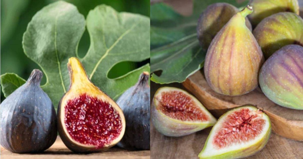 Descubre las diferencias entre higos y brevas: nutrientes y propiedades