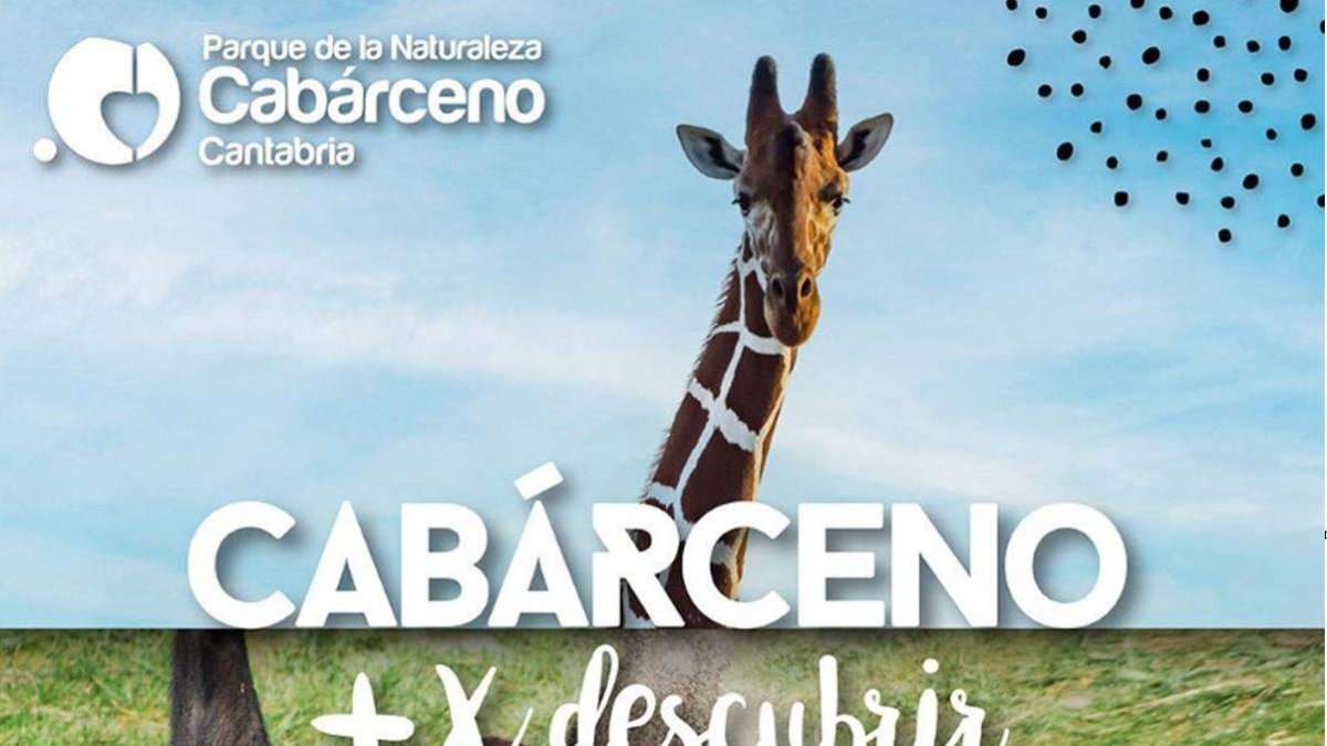 Un safari en Santander: 9 curiosidades del Parque de Cabárceno