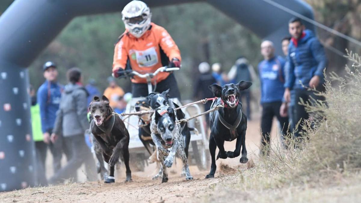 Soria vibra con el Mushing