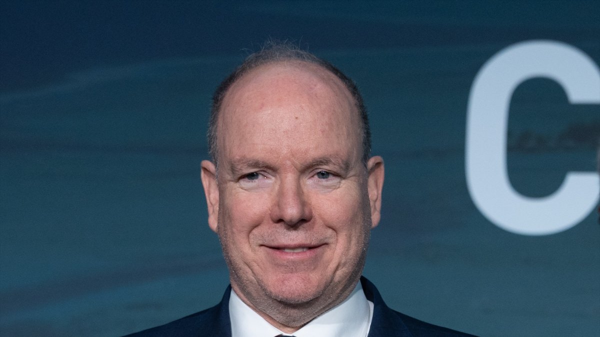 Los veinte años de Alberto de Mónaco en el trono: luces y sombras de ...