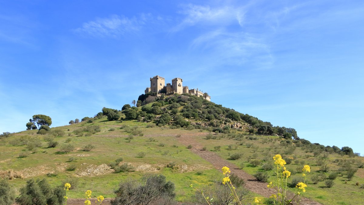 El castillo andaluz que en otoño se convierte en una visita ...