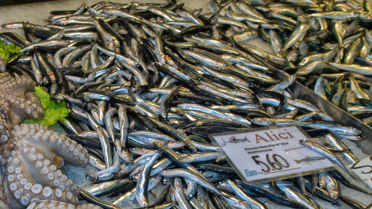 10 cosas que debes saber sobre las anchoas