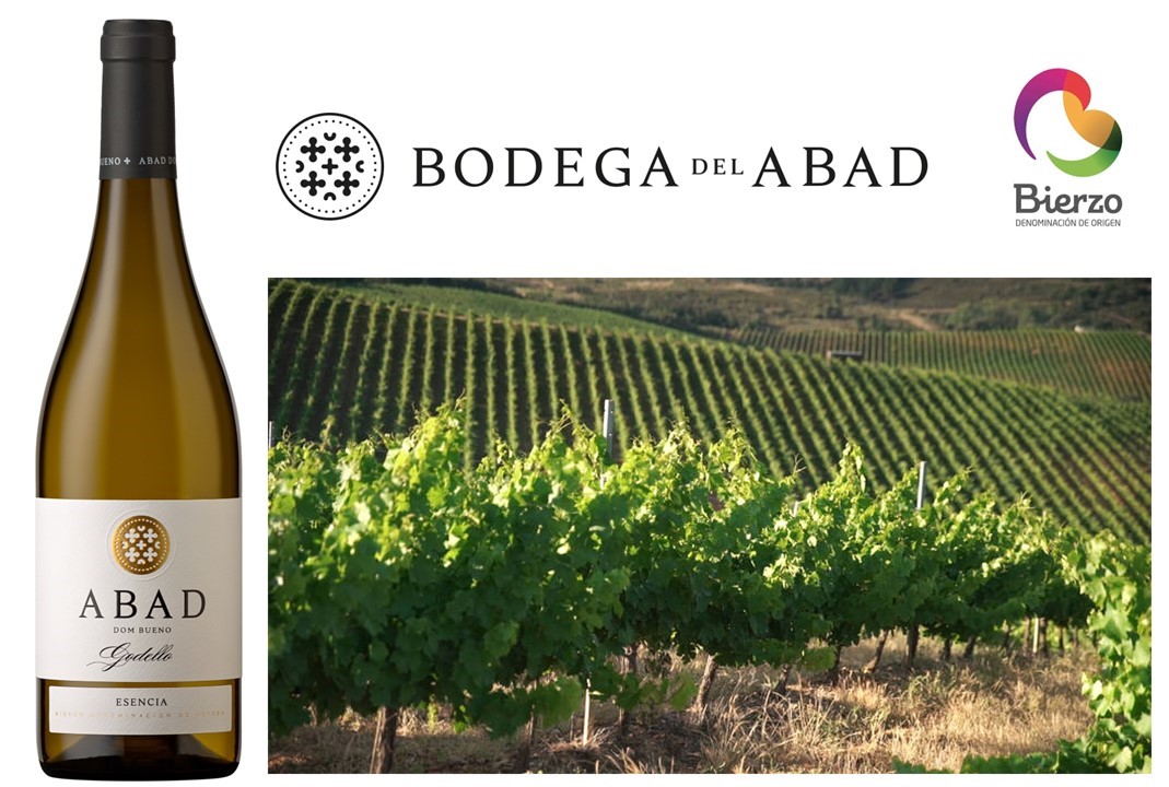 Cinco vinos de godello para descubrir y disfrutar