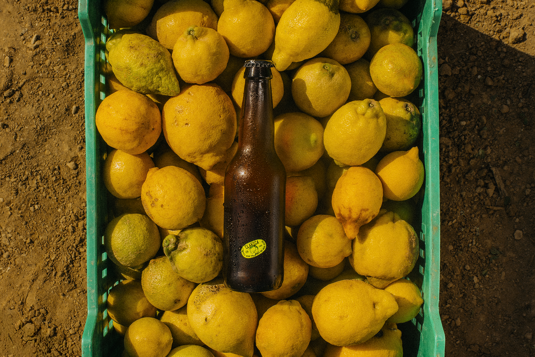 En defensa de los feos: Limonar de Santomera con los limones feos en la ...